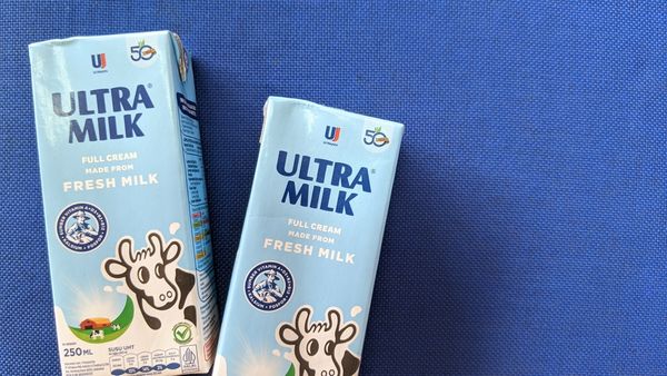 The 9 Best Milk Brands To Buy, According to a Nutritionist
