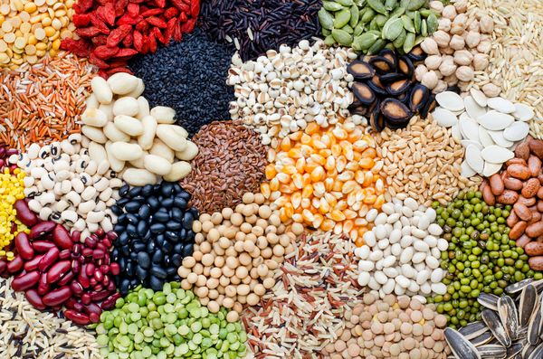 14 Healthiest High-Protein Beans You Can Eat