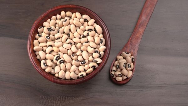 14 Healthiest High-Protein Beans You Can Eat