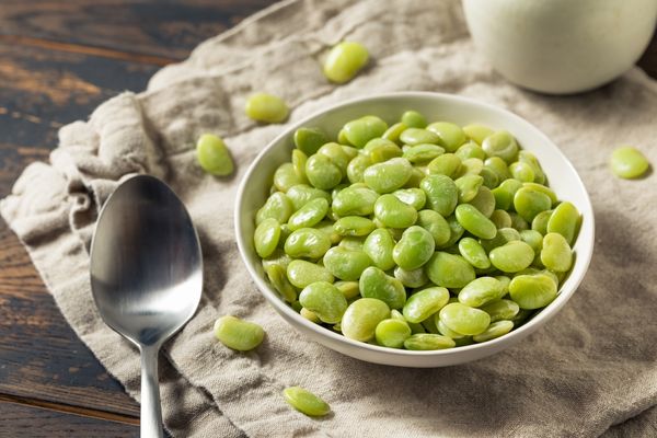 14 Healthiest High-Protein Beans You Can Eat