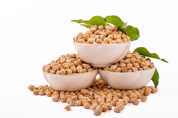 14 Healthiest High-Protein Beans You Can Eat