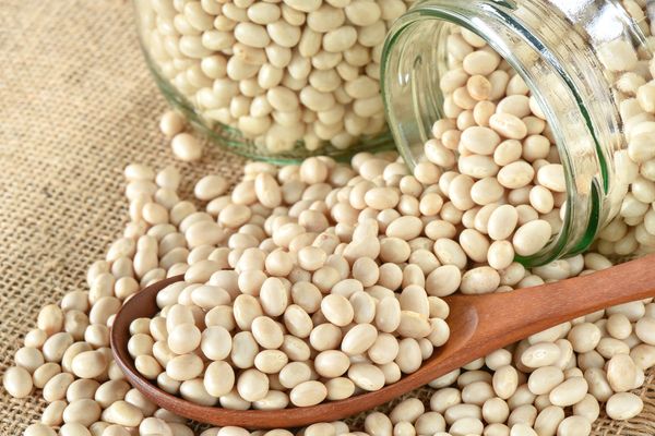 14 Healthiest High-Protein Beans You Can Eat
